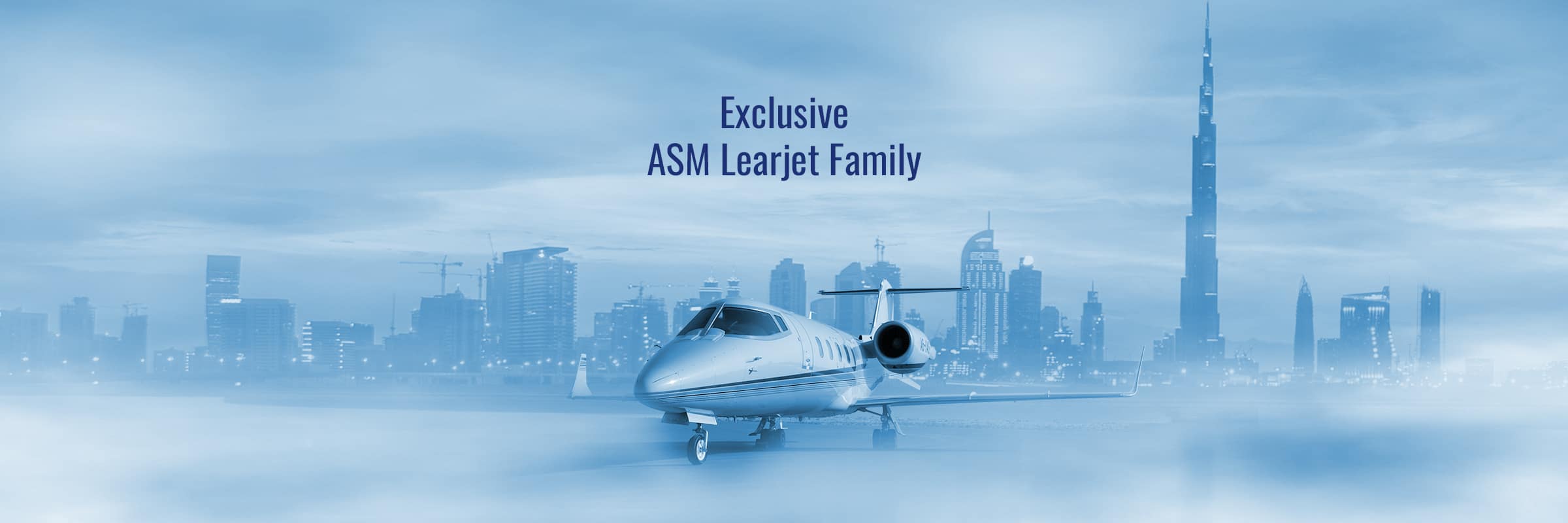 Aviation Services Management - Flight Support Services - Private Charter